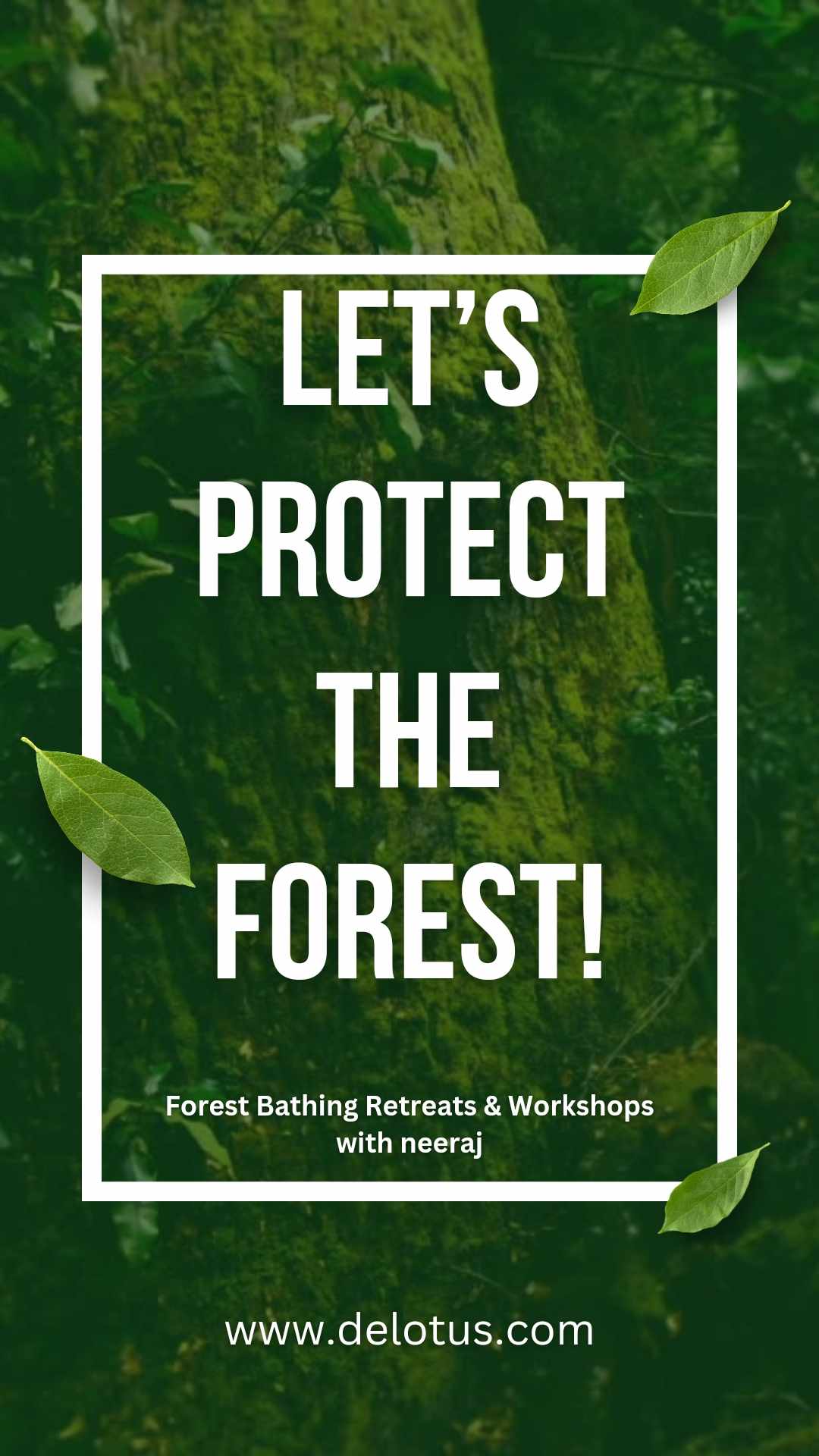 Forest Bathing Retreats India I Learn About Forest Bathing