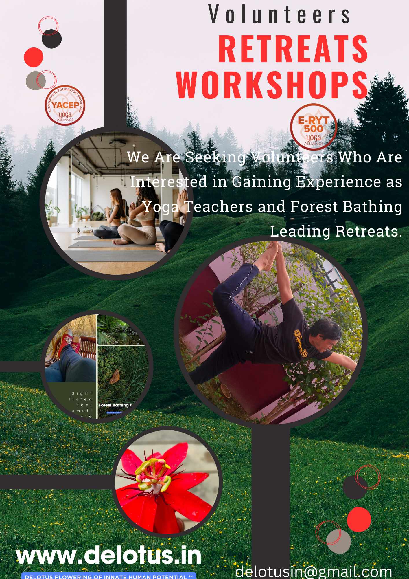 Transformative Forest Bathing I How to Do and Where to Do It